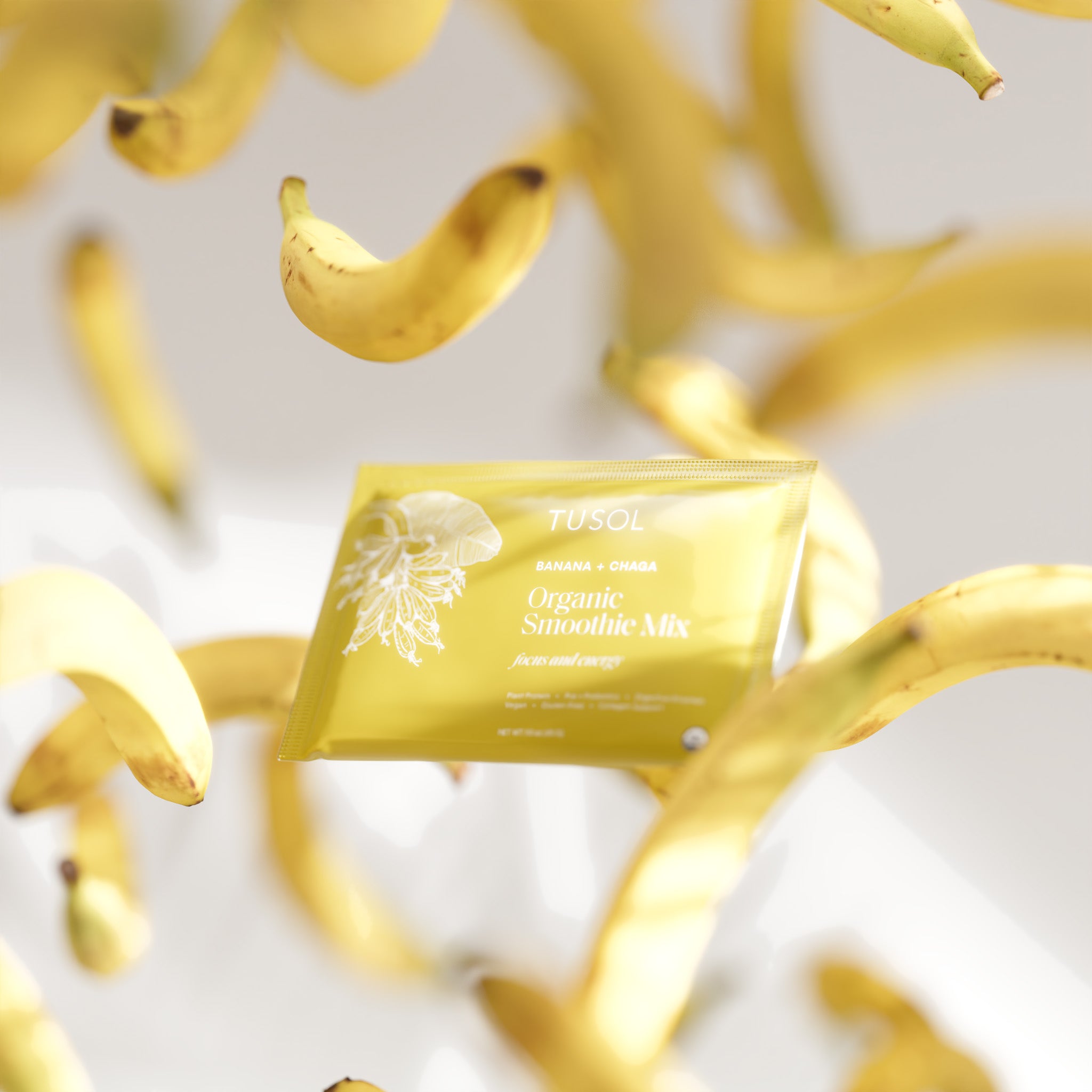Organic Banana + Chaga Smoothie Packet - TUSOL Wellness